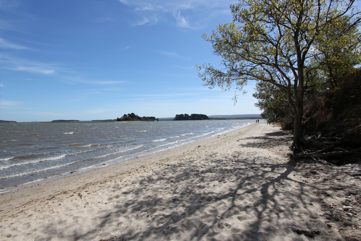 The beaches of Arne – A Few Miles More